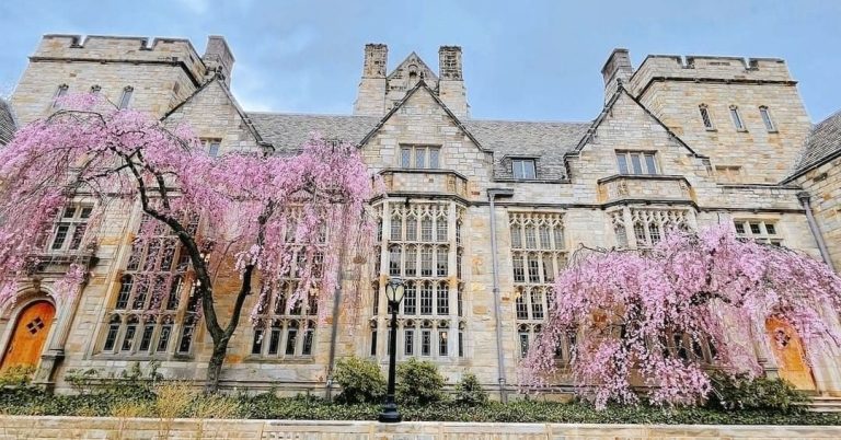 Coats of arms, symbols and contemporary life at Yale University - Art ...